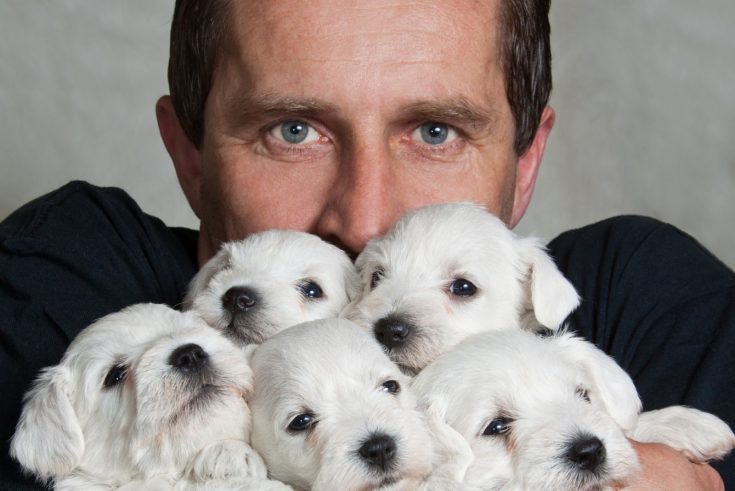 When Do Puppies Get Easier? A Complete Guide For New Puppy Owners