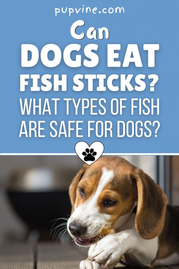 Should You Let Your Dog Eat Fish Sticks?