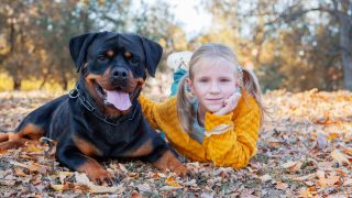 Are Rottweilers Good With Kids? Should You Get A Rottie?