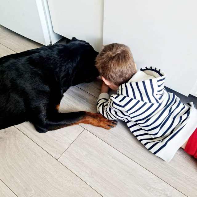 Are Rottweilers Good With Kids? Everything You Need To Know