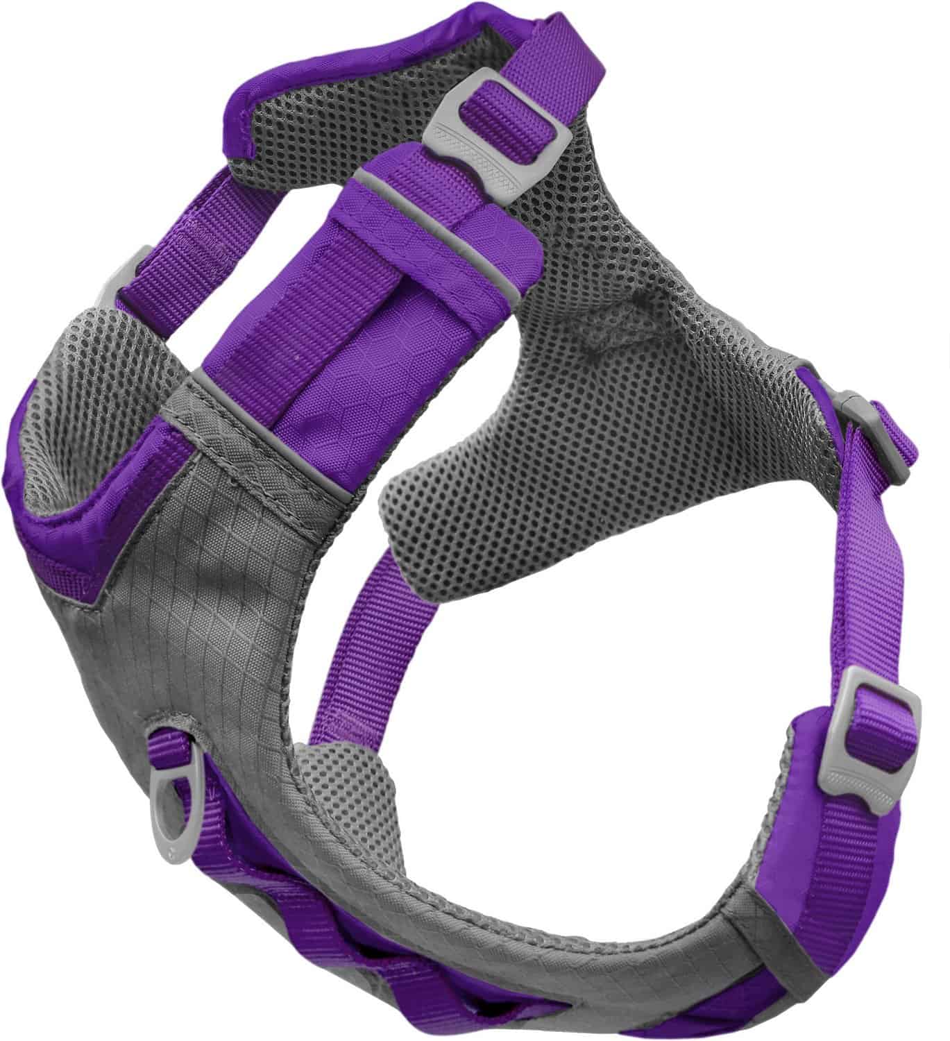 12 Yorkie Harness: The Best Dog Harness For Your Pet