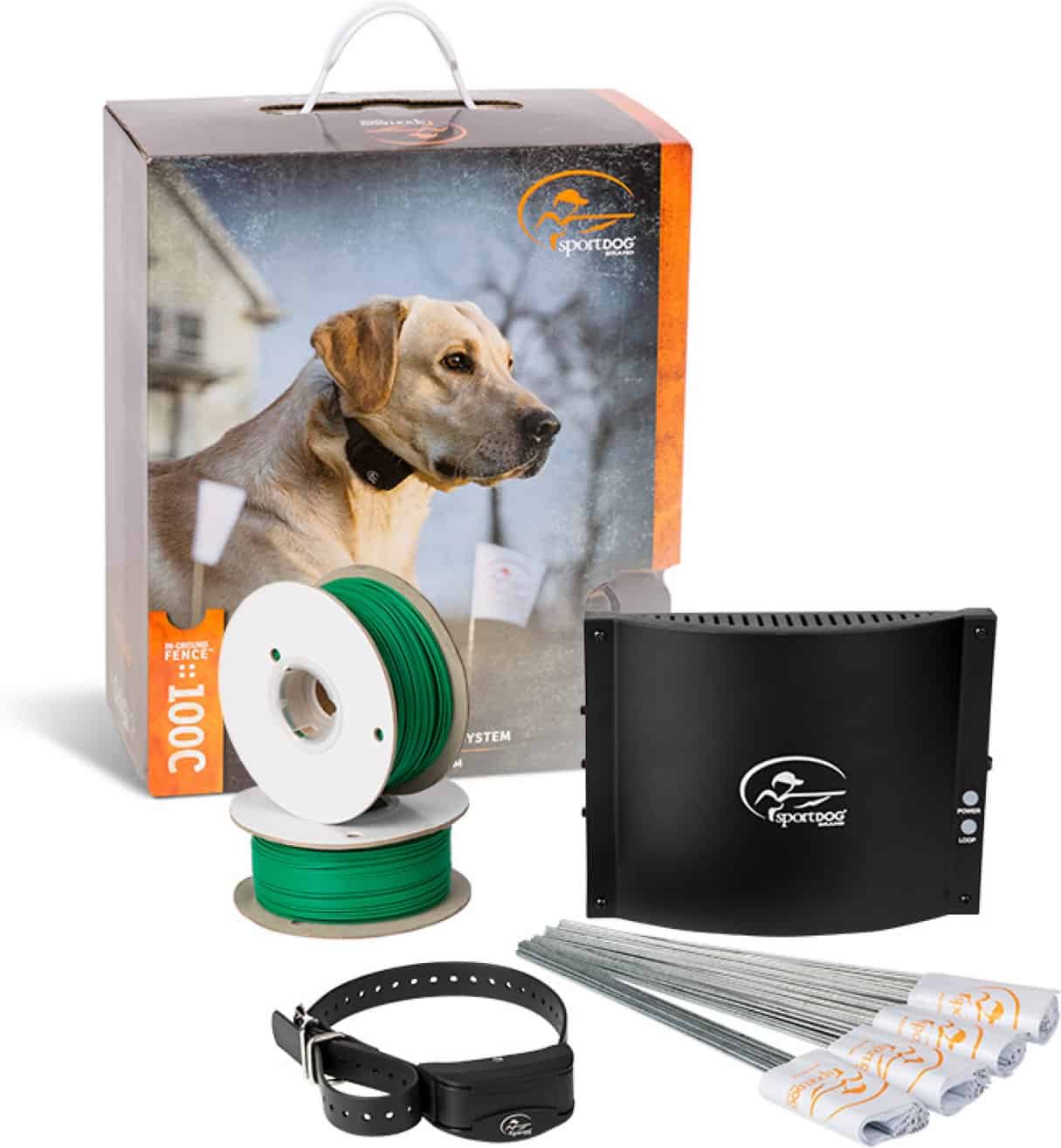 13 Best Electric Dog Fences For The Safety Of Your Furry Friend!