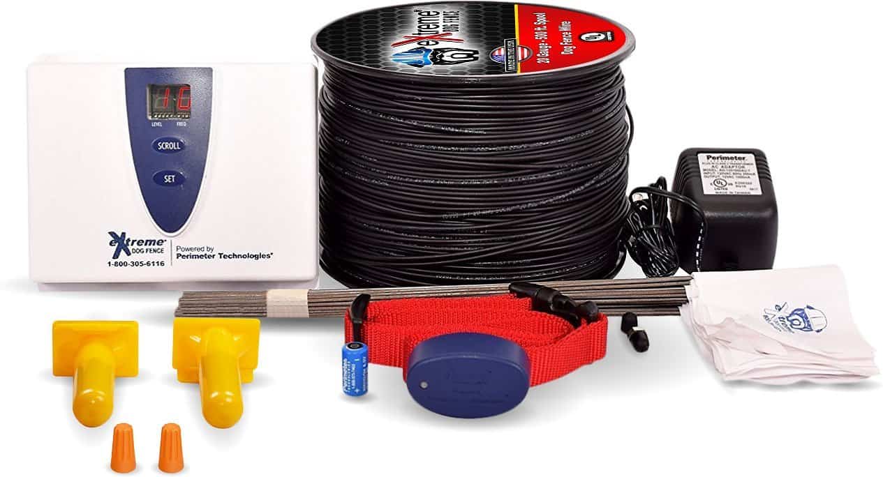 13 Best Electric Dog Fences For The Safety Of Your Furry Friend!