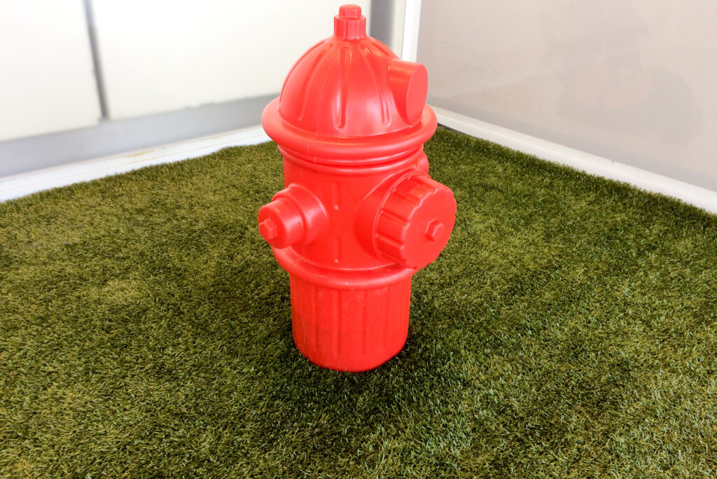 Fire Hydrant For Dogs: Our 8 Favorite Picks!