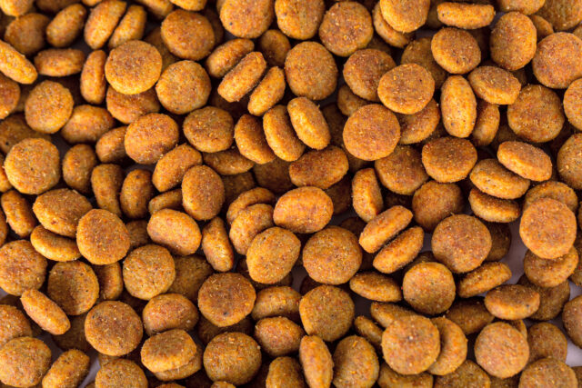 Cockapoo Feeding Chart: Everything You Need To Know