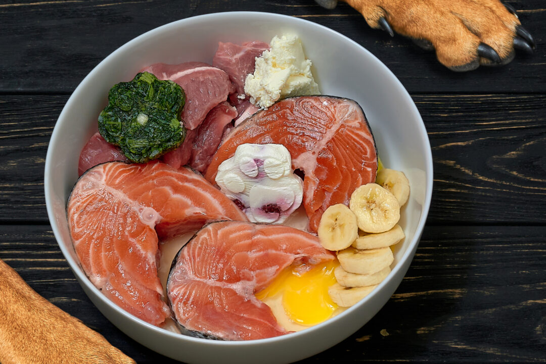 American Bully Feeding Chart: Tips To Know So Bully Can Grow