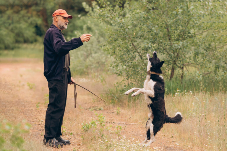How To Show Dominance To A Dog? 17 Steps To An Alpha Leader