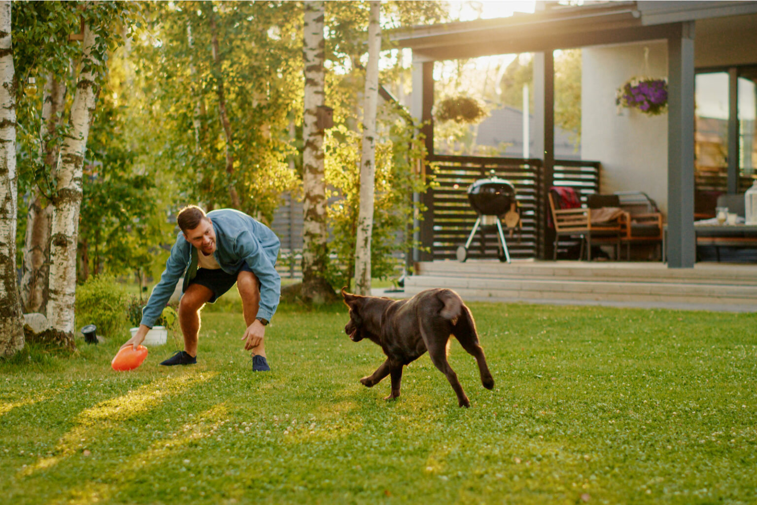 How To Keep A Dog Entertained While At Work: 19 Tips & Tricks