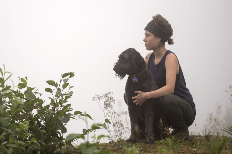 Irish Wolfhound Poodle Mix: A Wolfy Doodle You Will Love