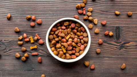 Kindfull Dog Food Review: A Guide To An Affordable Pet Food