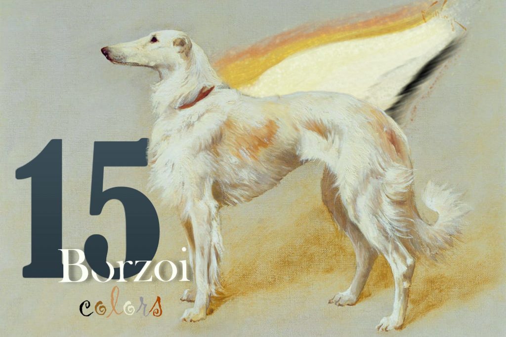 These 15 Borzoi Colors Are The Next In Fashion