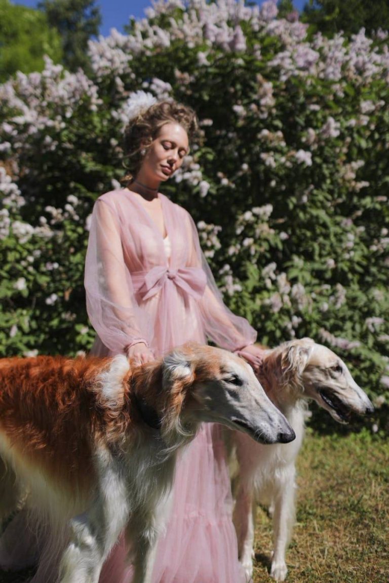 These 15 Borzoi Colors Are The Next In Fashion