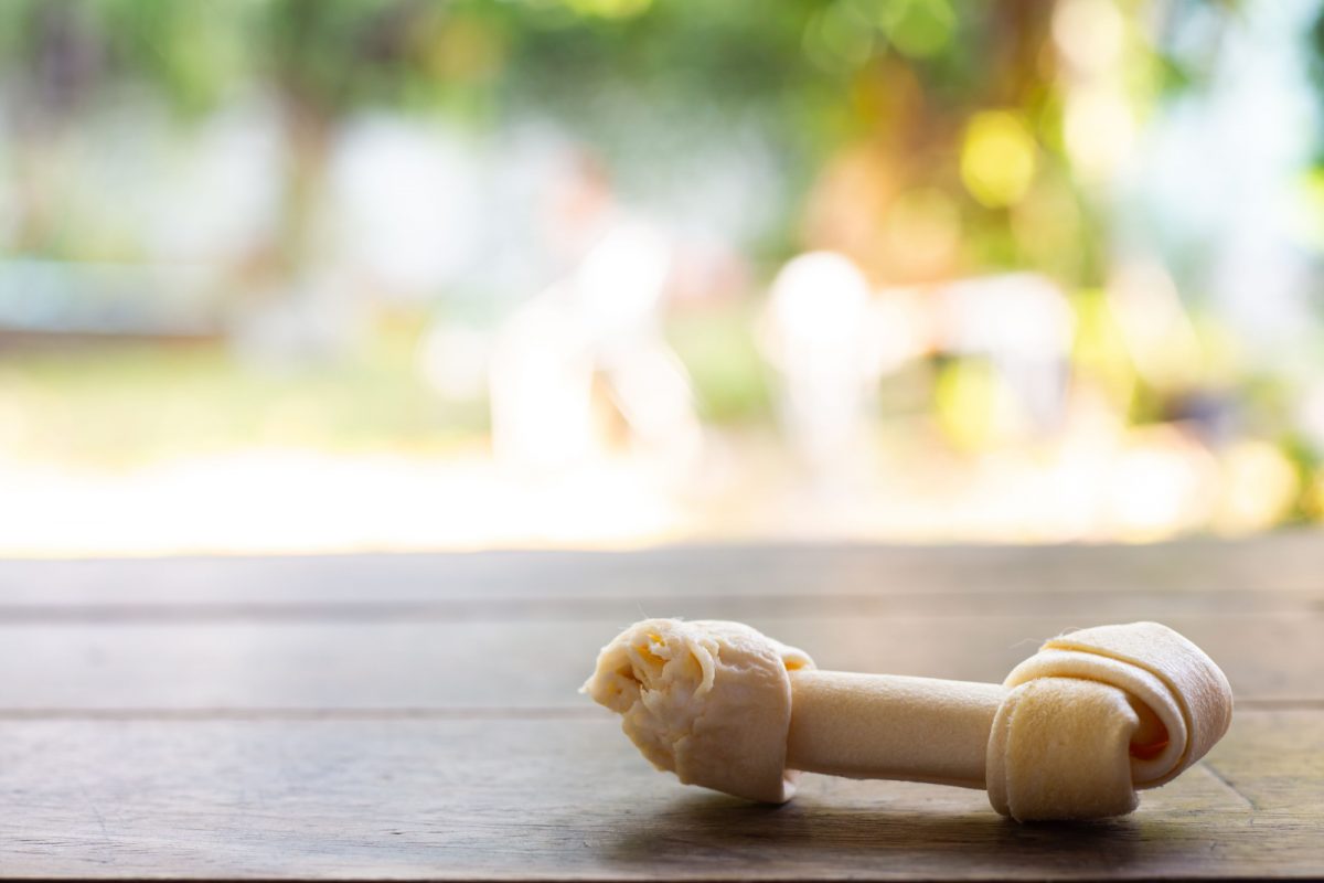 Beefhide Vs Rawhide: Which One Is Better For Your Dog If Any