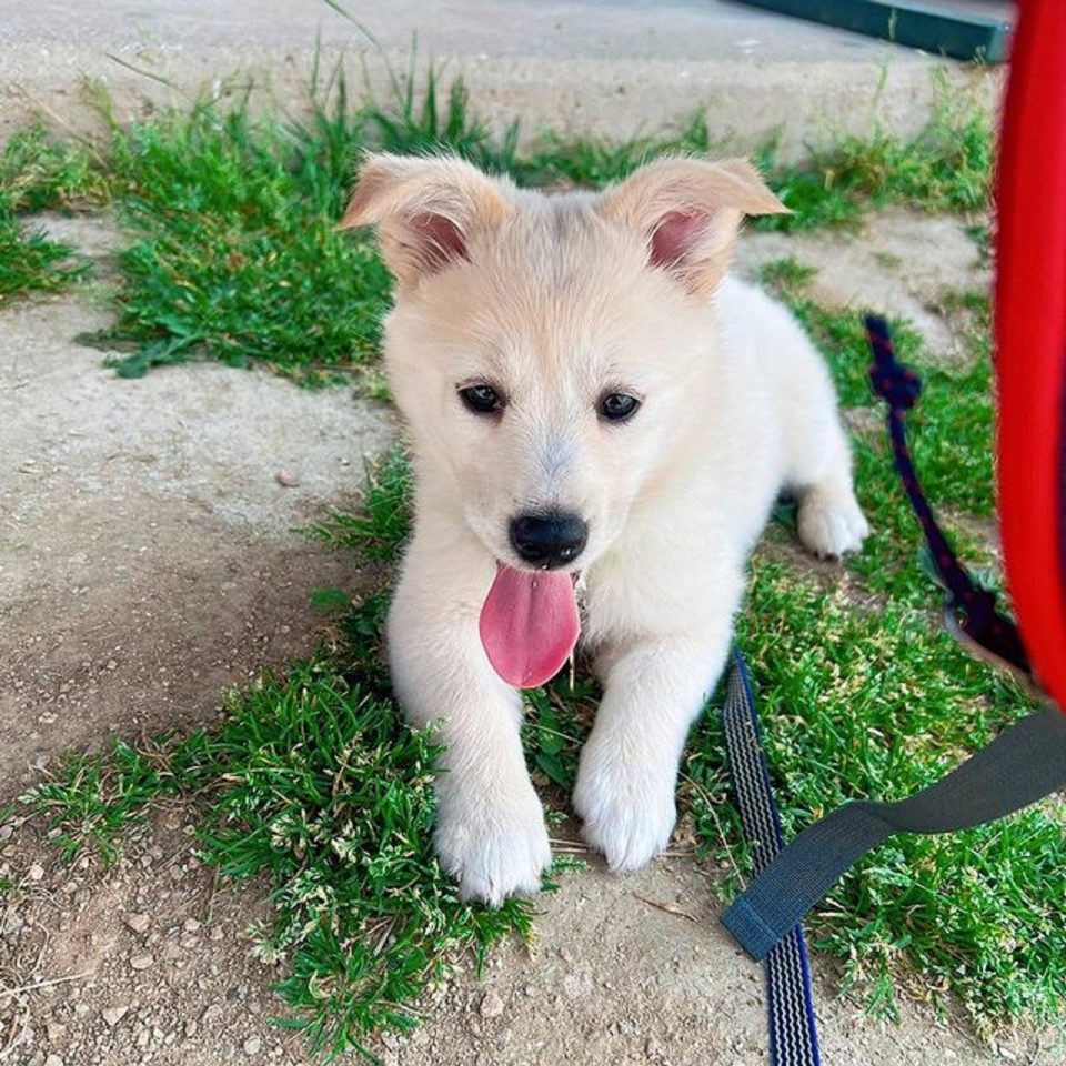 12 Jindo Mixes You Never Heard Of