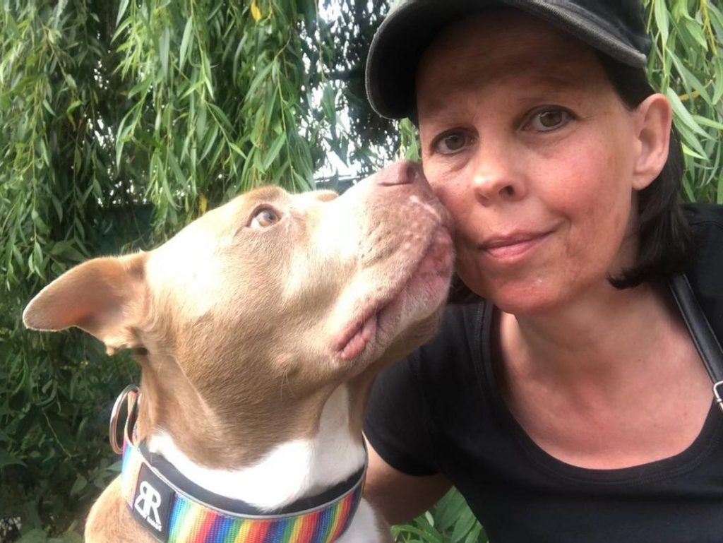 Everything You Should Know About The Pitbull Bully Mix