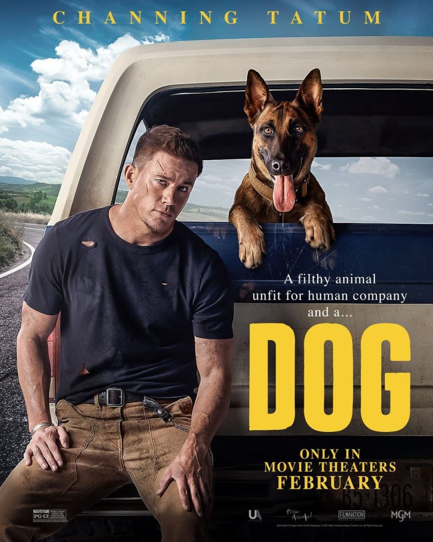 21 Best Dog Movies Of All Time That You Need To Watch