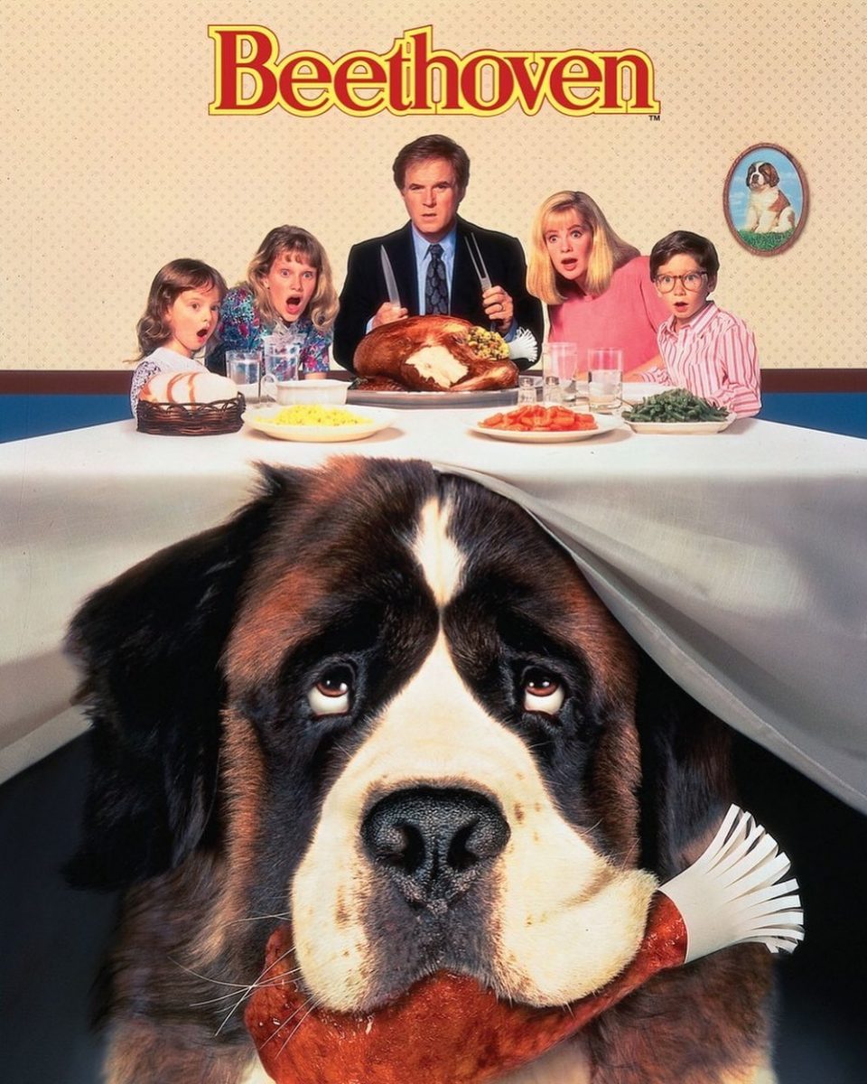 21 Best Dog Movies Of All Time That You Need To Watch