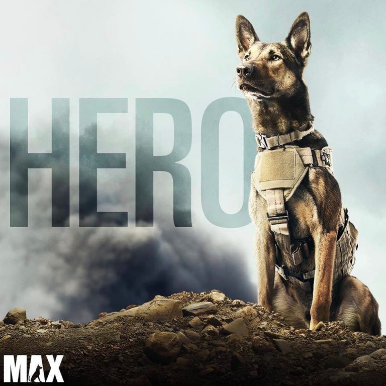 21 Best Dog Movies Of All Time That You Need To Watch