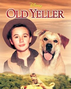 21 Best Dog Movies Of All Time That You Need To Watch