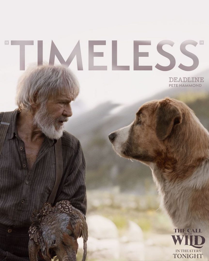 21 Best Dog Movies Of All Time That You Need To Watch