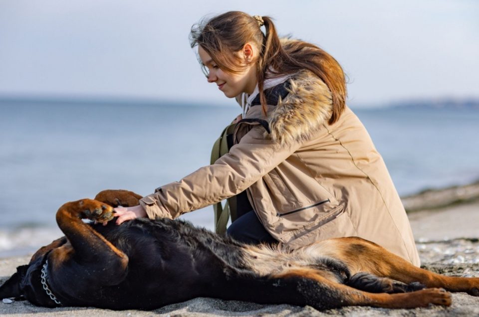 7 Things Rottweilers Love With All Their Heart And Soul