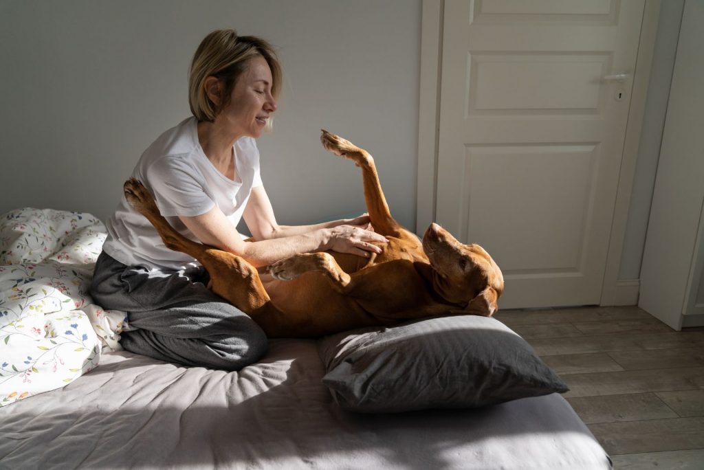 Dog Behavior 101 – Why Do Dogs Like Belly Rubs