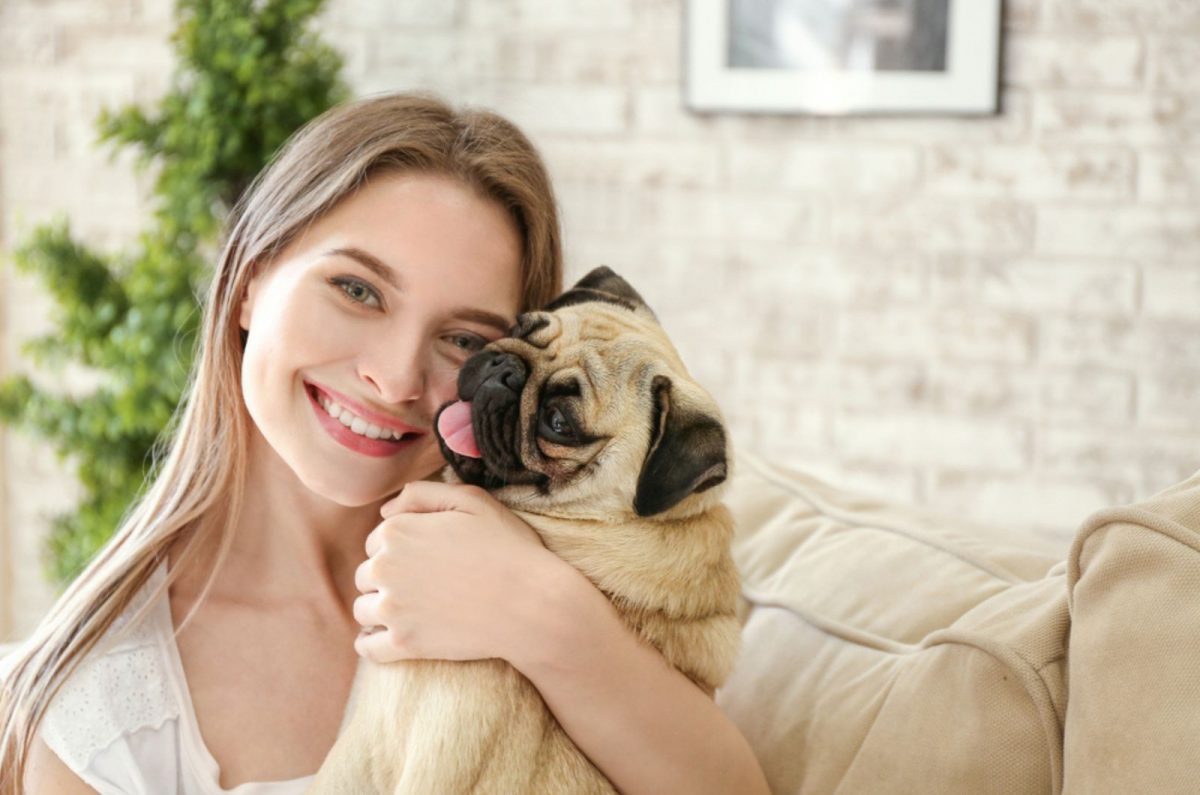 20 Friendliest Dog Breeds That Will Make Your Social Life Pawesome