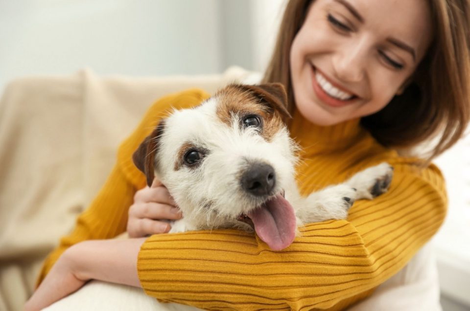 11 Fun Activities To Do With Your Dog, Indoors And Outdoors