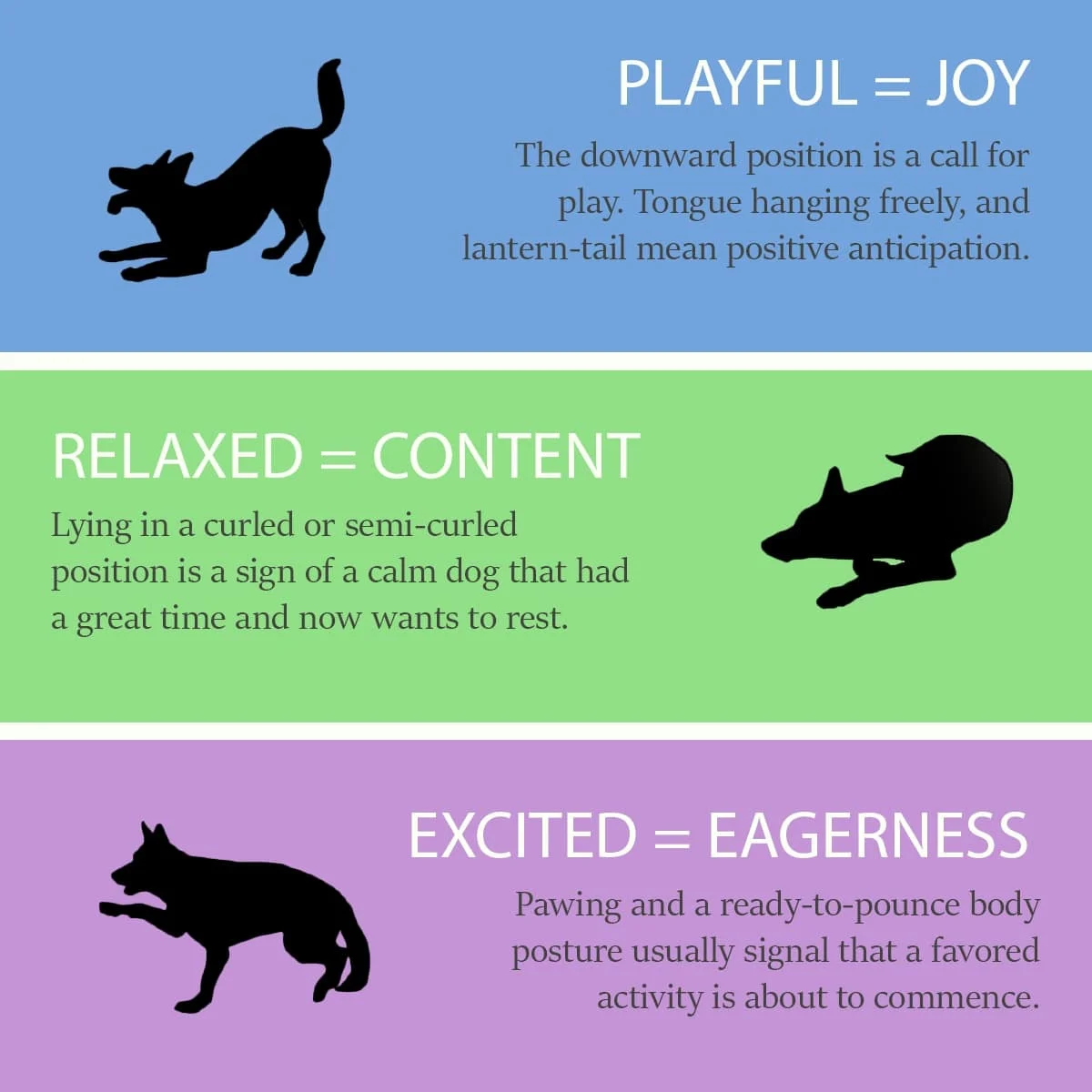 A Guide To Understanding Canine Emotions + Pictures