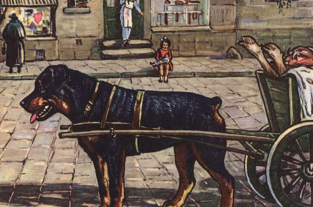 21 Fun Facts About Rottweilers That Will Make You Go Wow