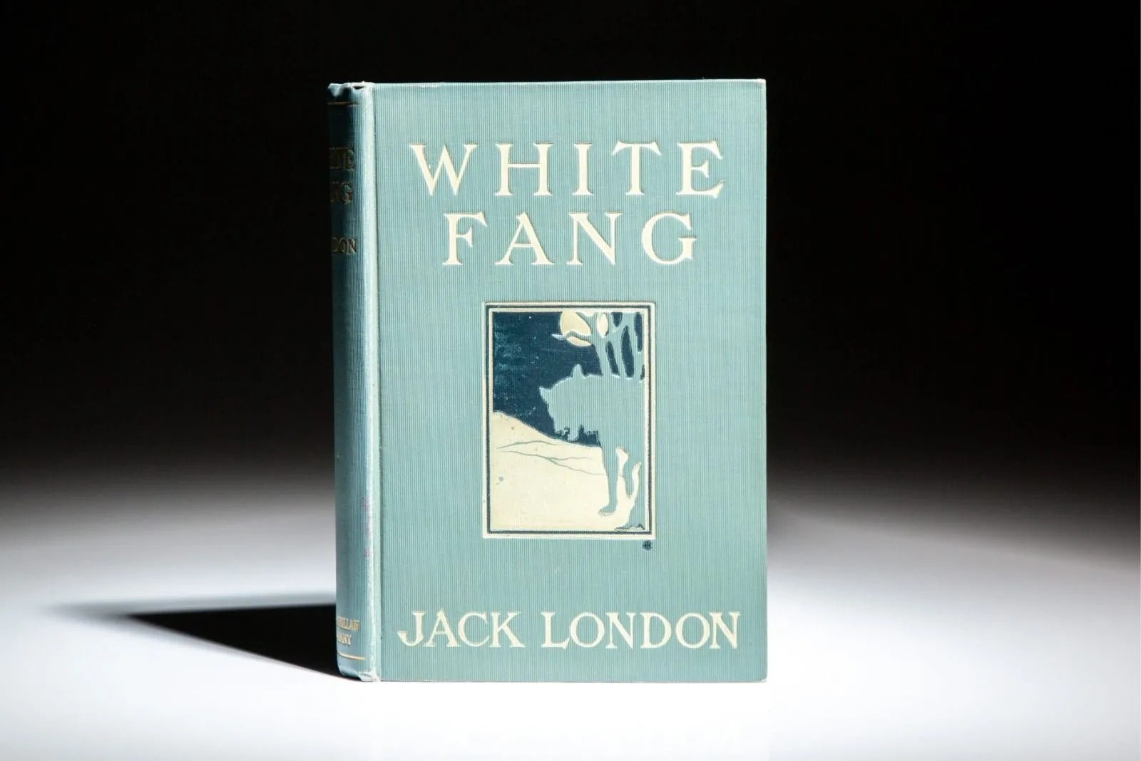 13 Famous Dog Stories That Are Beyond Inspirational