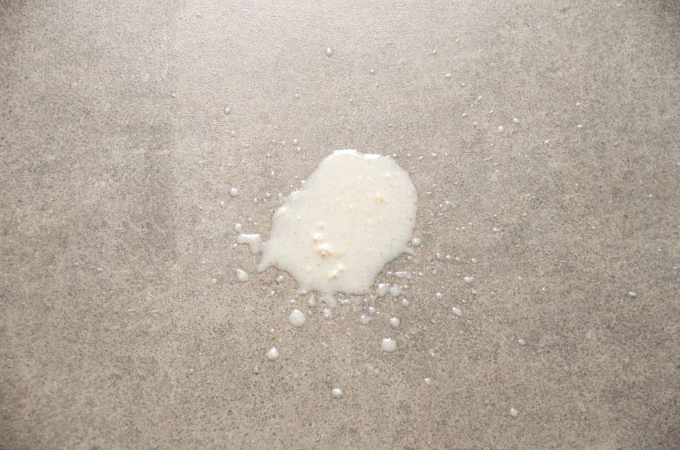 7 Worrying Reasons Behind Your German Shepherd Throwing Up White Foam