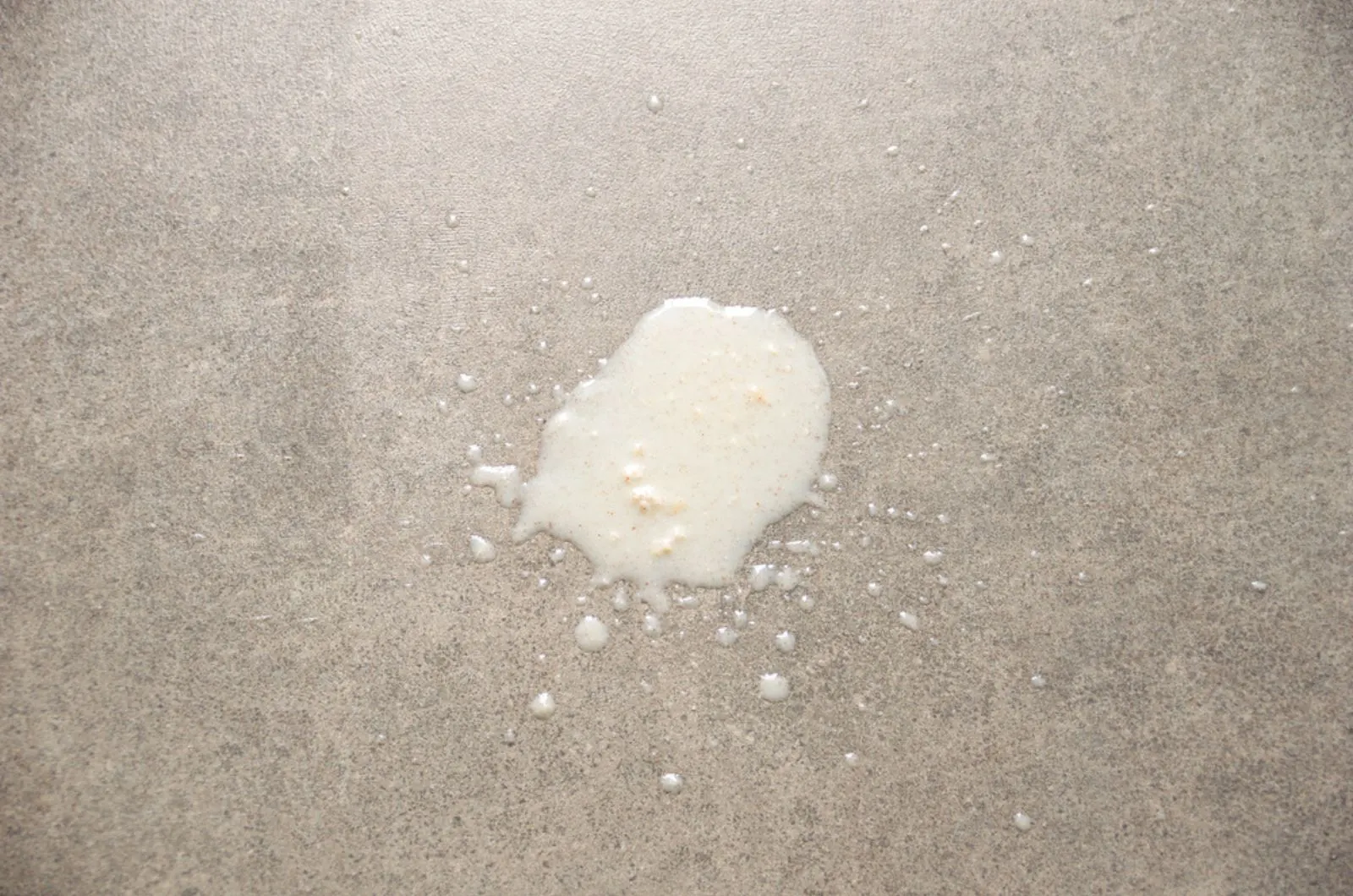 7 Worrying Reasons Behind Your German Shepherd Throwing Up White Foam