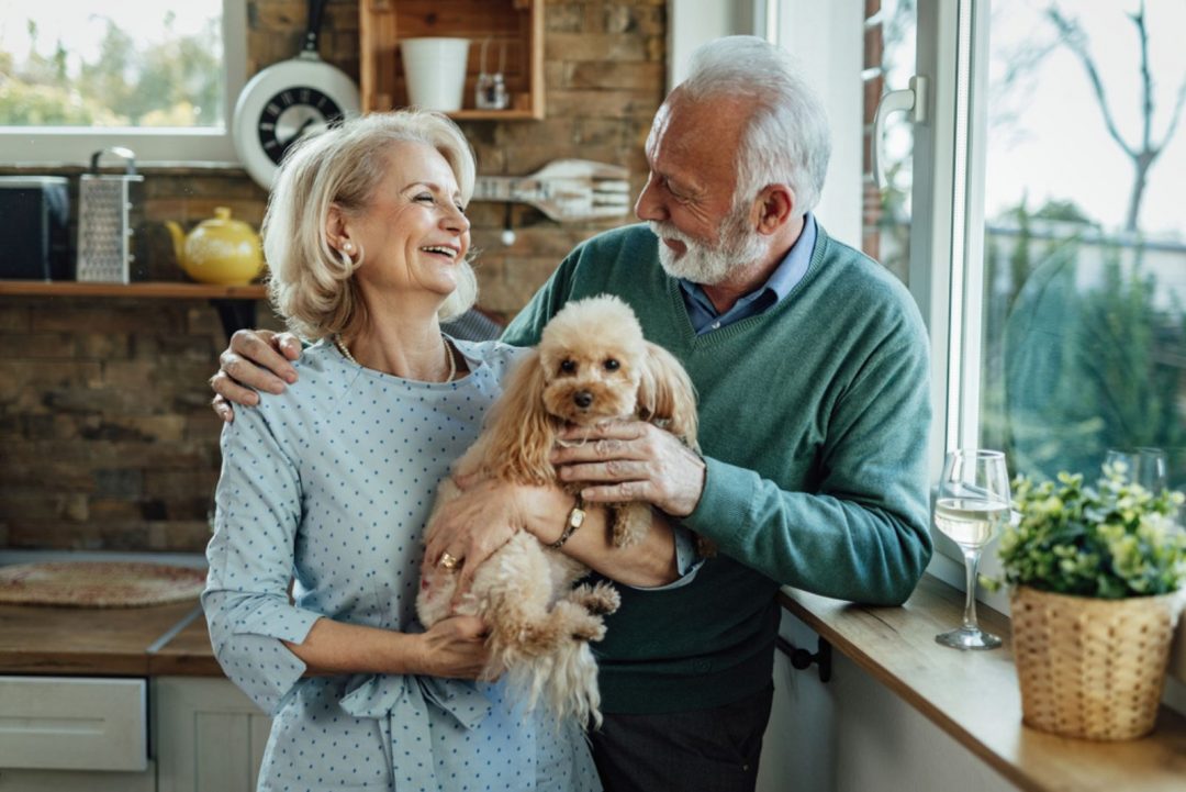 20 Dog Breeds For Seniors That Will Brighten Up Their Golden Years
