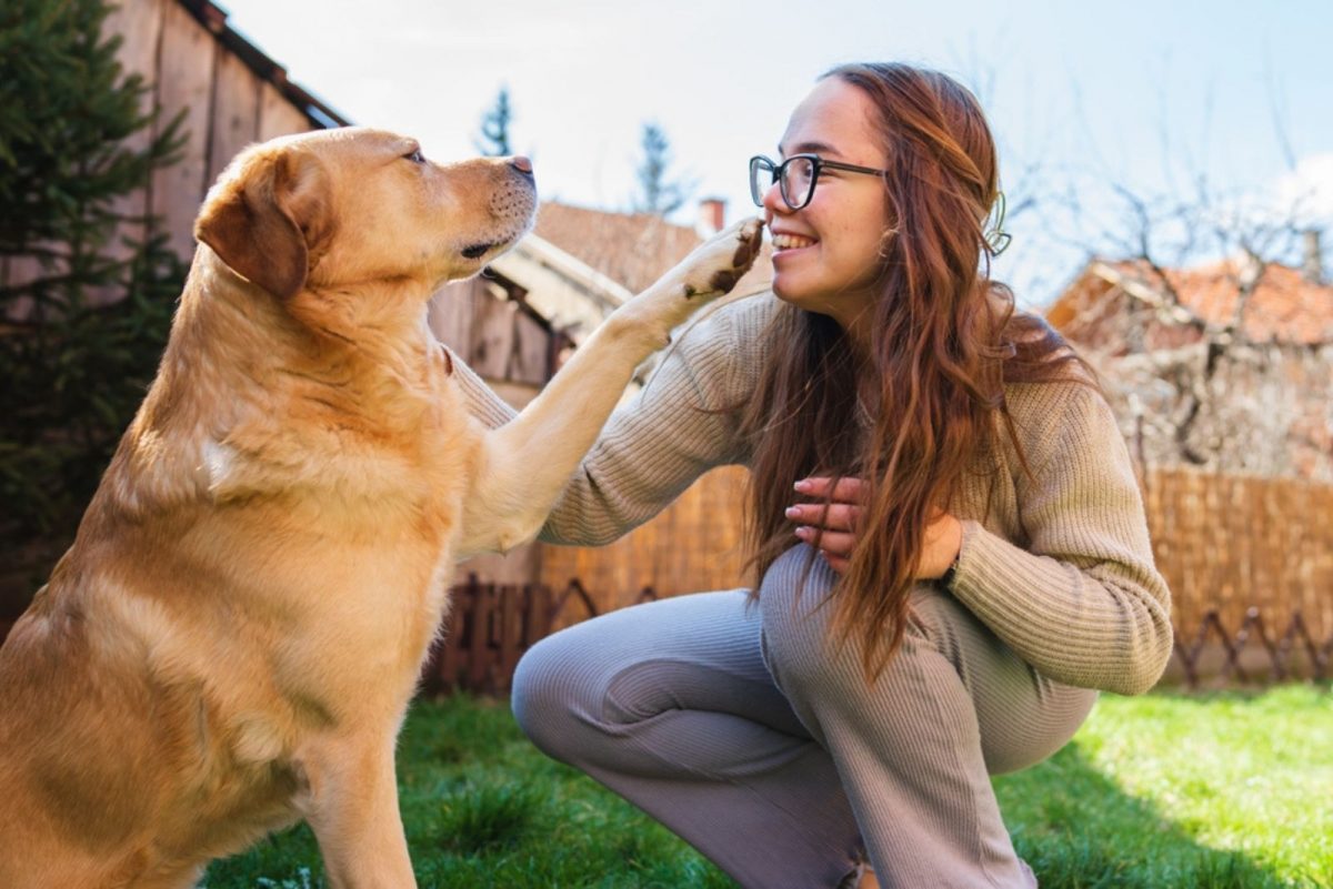 Top 10 Dog Breeds For Extroverts To Make You Shine At Large Gatherings