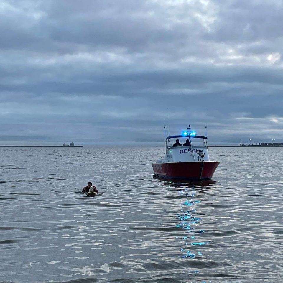 Lifeguards Save Frightened Tiny Dog Fighting The Waves In The Pacific Ocean