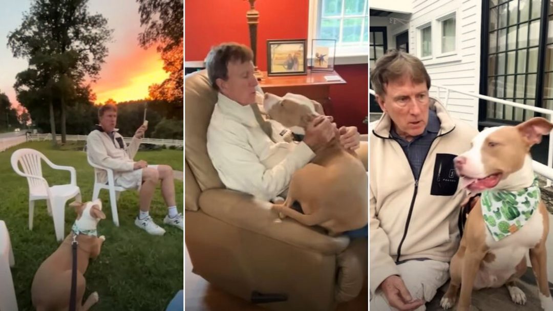 Rescue Pittie Was Determined To Win Grandpa Over And Now They Share A ...