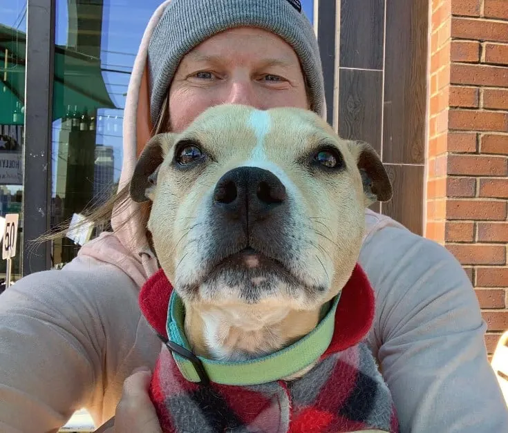 Dog Saved From A Storm Now Lives The Best Life In Ohio