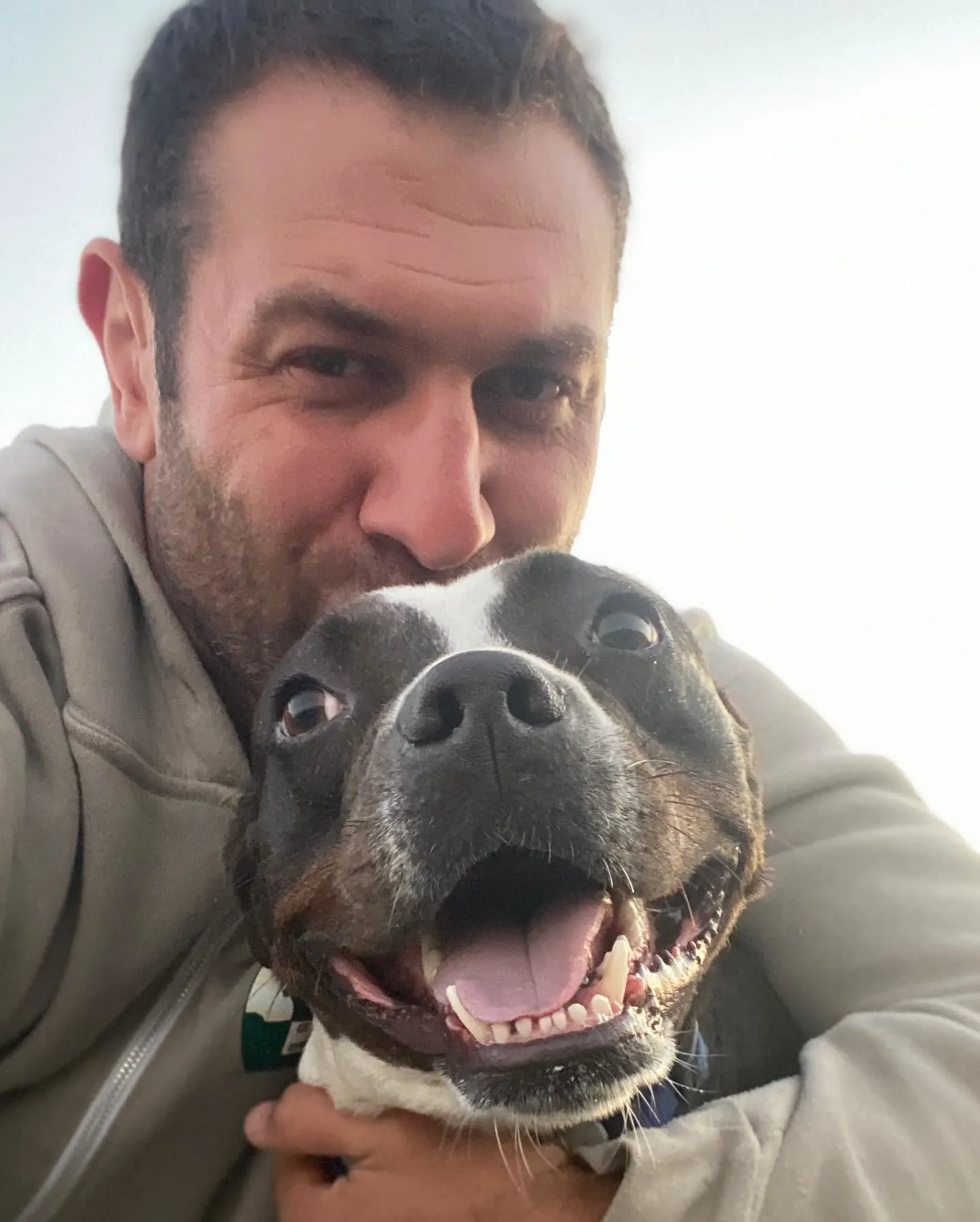 Abused Pittie From Oregon Just Wanted To Be Happy And Then Someone ...