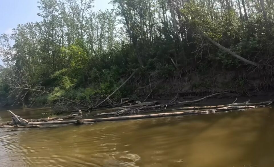 Man Heard A Weird Noise Coming From The Mud And Was Then Shocked By A ...