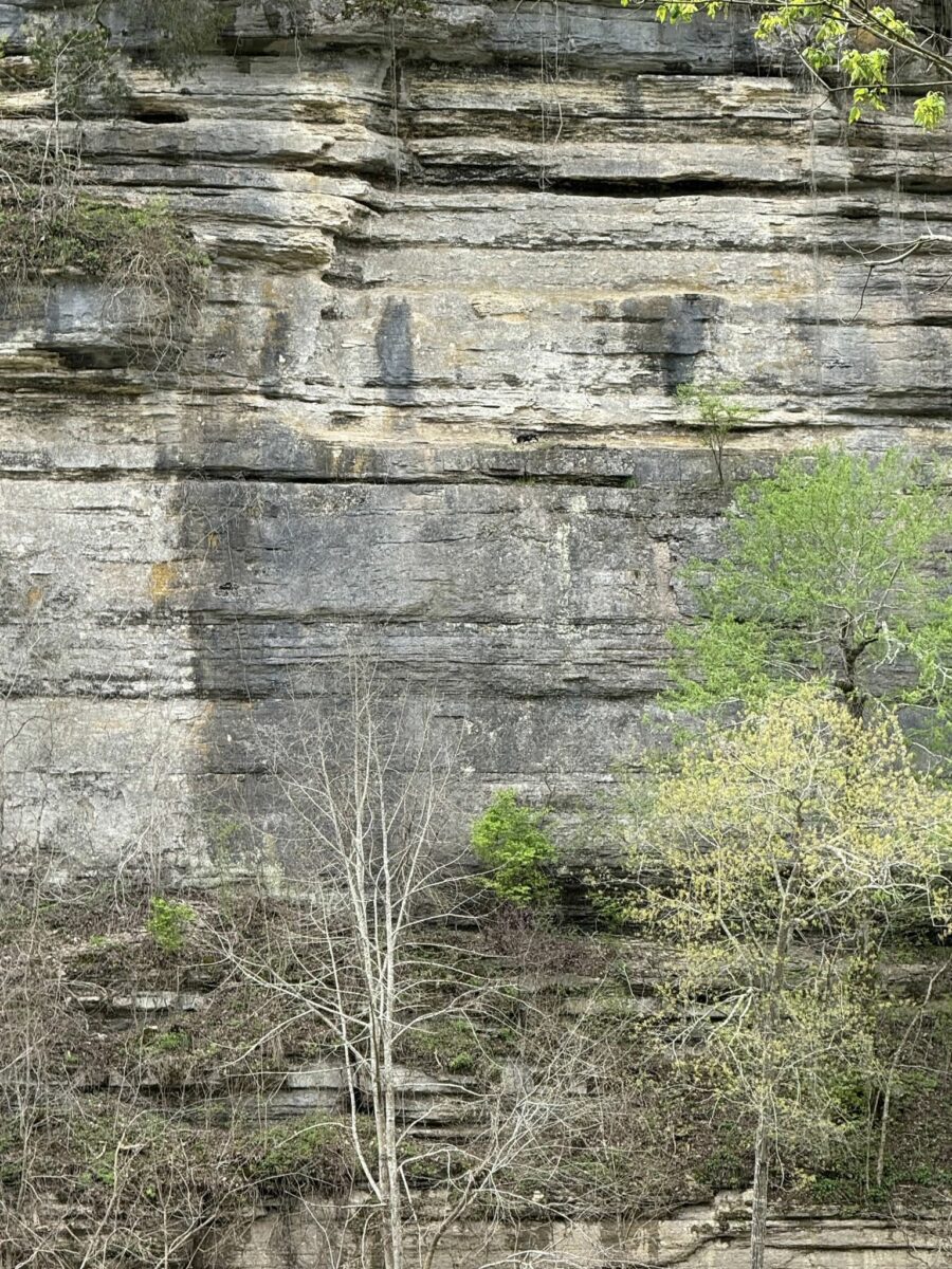 Shock As Kentucky Woman Realizes A Tiny Speck On The Cliff Is Something ...