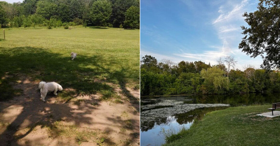 10 Wisconsin Dog Parks Locals Swear Are Worth The Trip