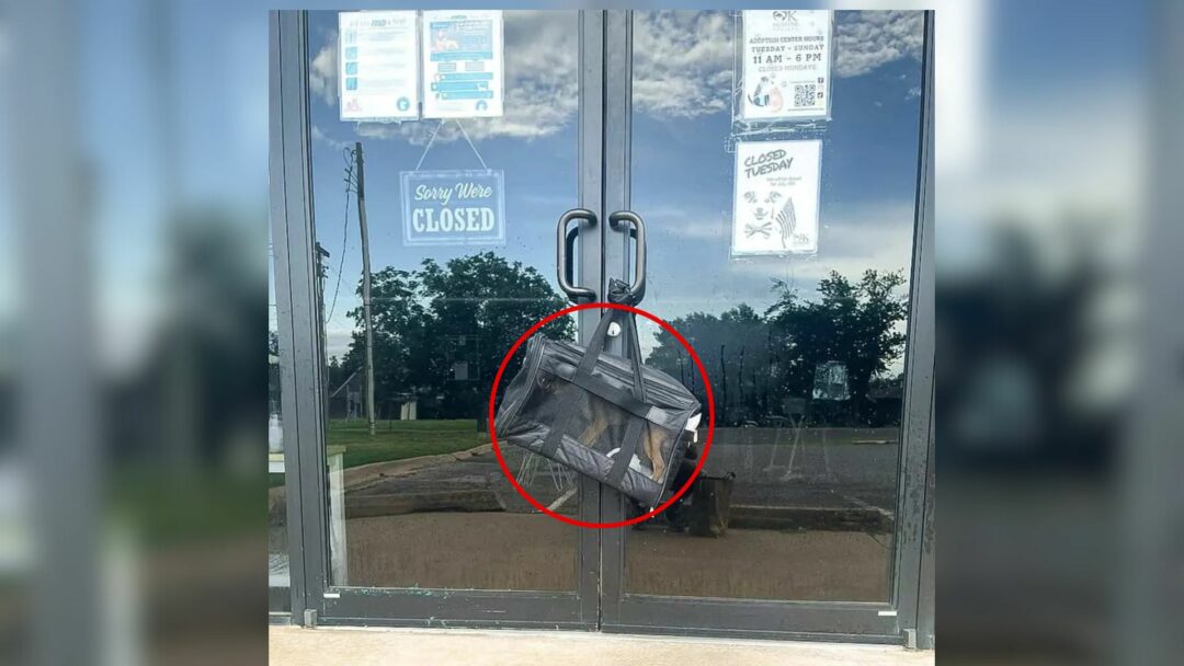 Oklahoma Man Finds Dog Abandoned In A Bag Hanging On Shelter Door Handle