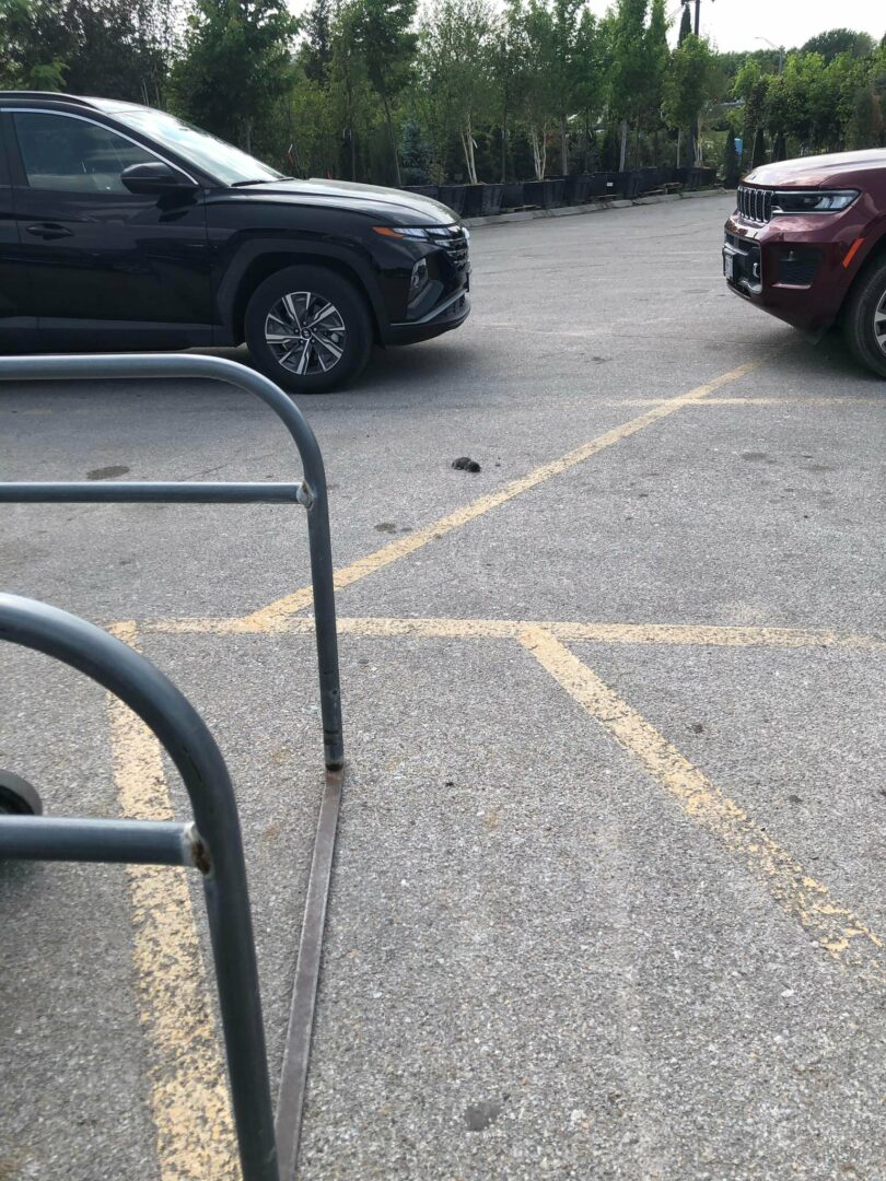 Nebraska Woman Spots An Unusual Shape In A Parking Lot And Realizes It ...