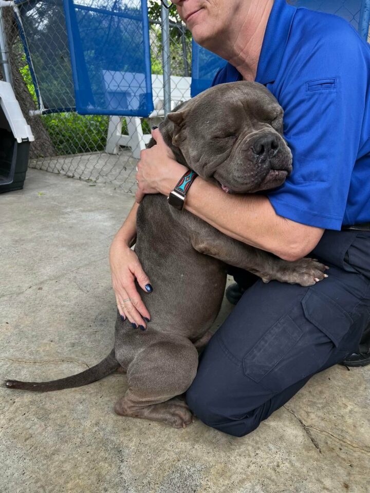 Texas Dog Found Alone On The Streets Wraps His Rescuers In The Sweetest Hug