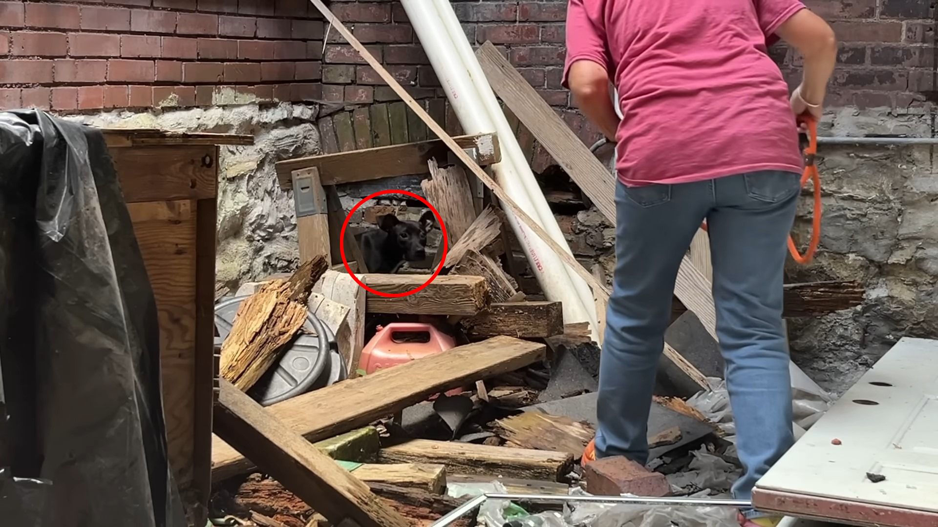Missouri Rescuer Finds A Small Dog Buried In Trash And Sees Her Spirit ...