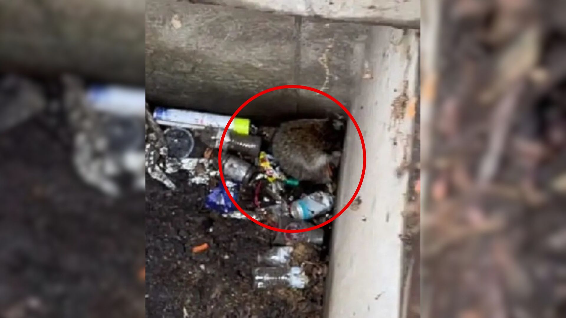 New York Emergency Crew Gathers Around A Storm Drain After A Disturbing ...