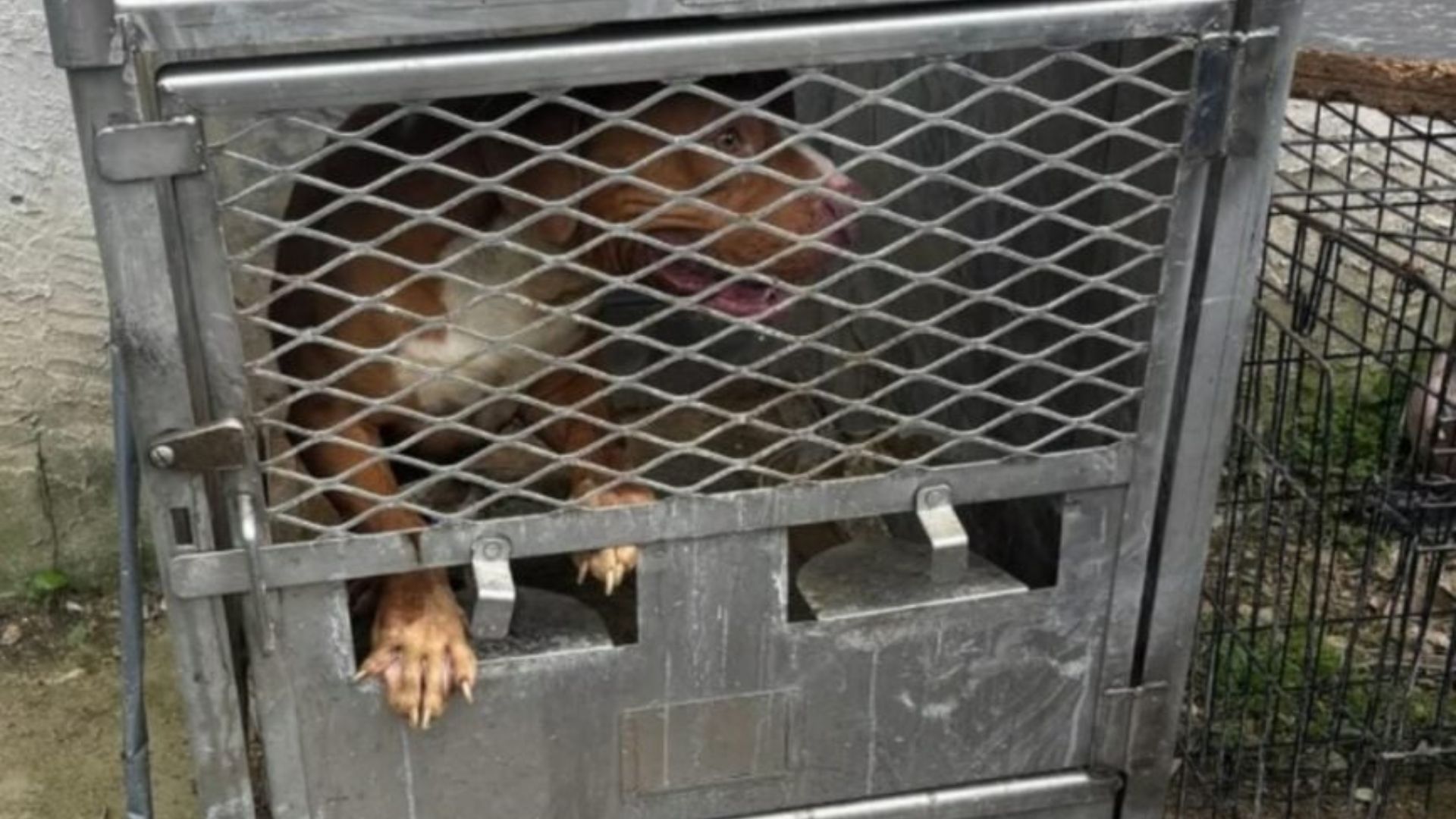 Pennsylvania Team Races Against Time After Discovering Shocking Scene ...