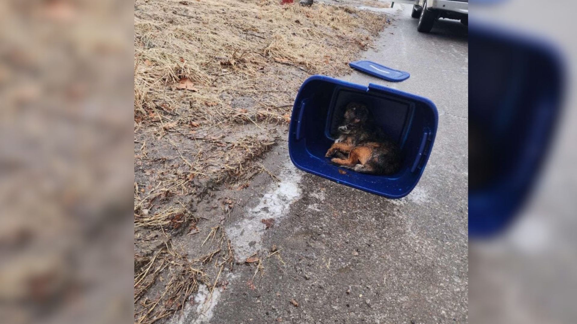 Woman Approaches Suspicious Bag On Michigan Roadside And Finds Herself ...