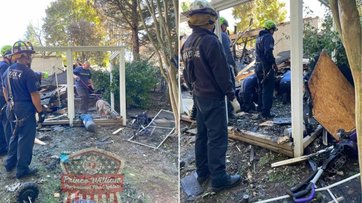 Virginia Dog Trapped Beneath A Destroyed Home Stays Silent For Days ...